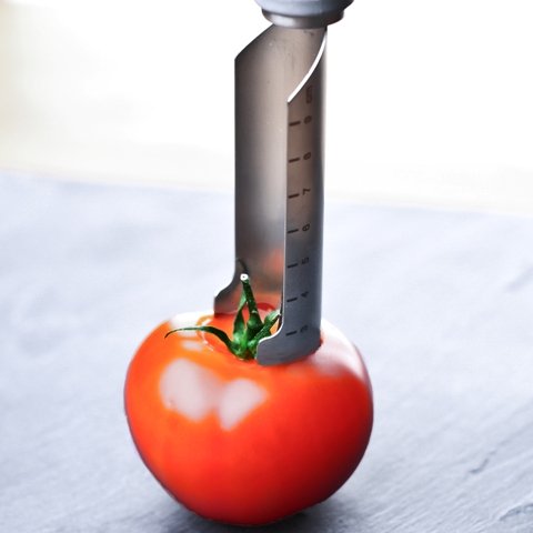 De Buyer Entkerner Aushöhler Ø 13 mm für Obst und Gemüse › Töpfeboutique